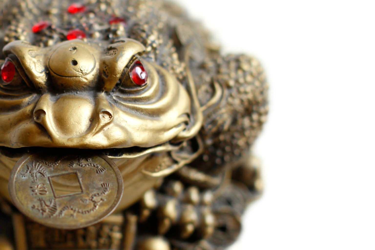 Feng Shui Money Frog: 5 Tips To Attract Wealth Correctly