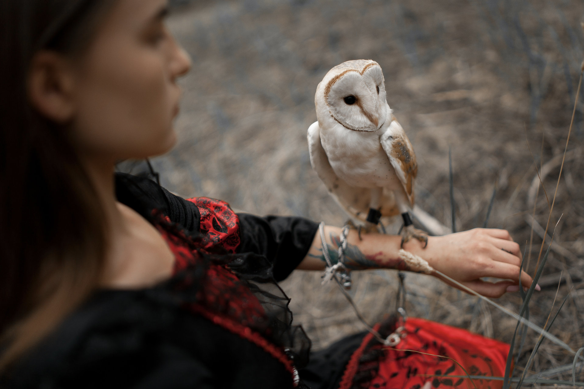 Discover Your Zodiac Sign Spirit Animal: 12 Mystical Bonds