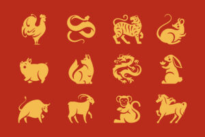 Understanding 12 Chinese Zodiac Compatibility: Best Matches and Clashes